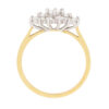 Two-Tone Princess and Round Brilliant Cut Diamond Cluster Ring ...